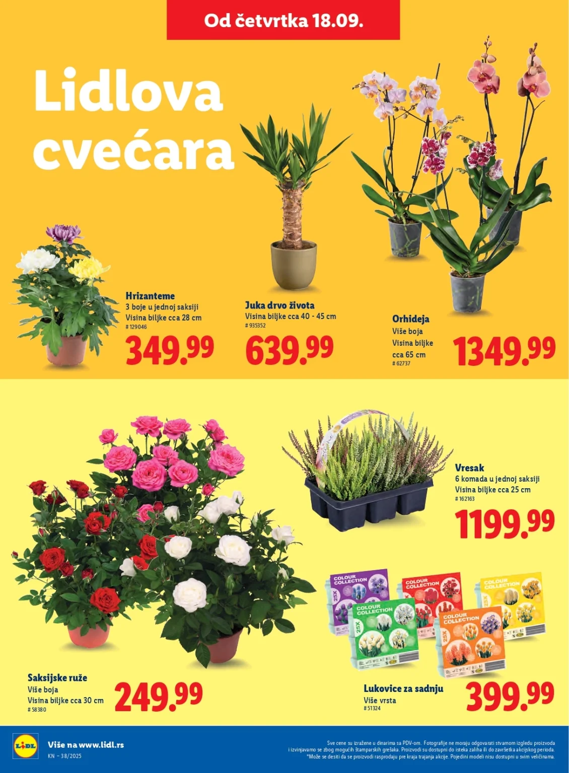 Lidl CVEĆARA 18-24.9.2025. - ustedite.rs